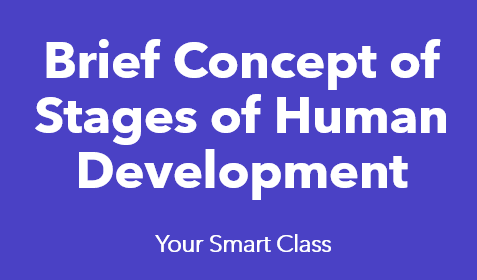 Brief Concept of Stages of Human Development|Gauhati University B.Ed ...